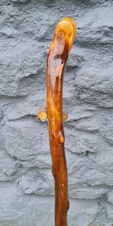 Handmade Blackthorn, Hazel, Hawthor Walking Sticks; Irish Shilelagh ...