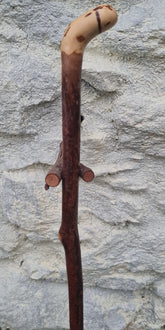 Handmade Blackthorn, Hazel, Hawthor Walking Sticks; Irish Shilelagh ...