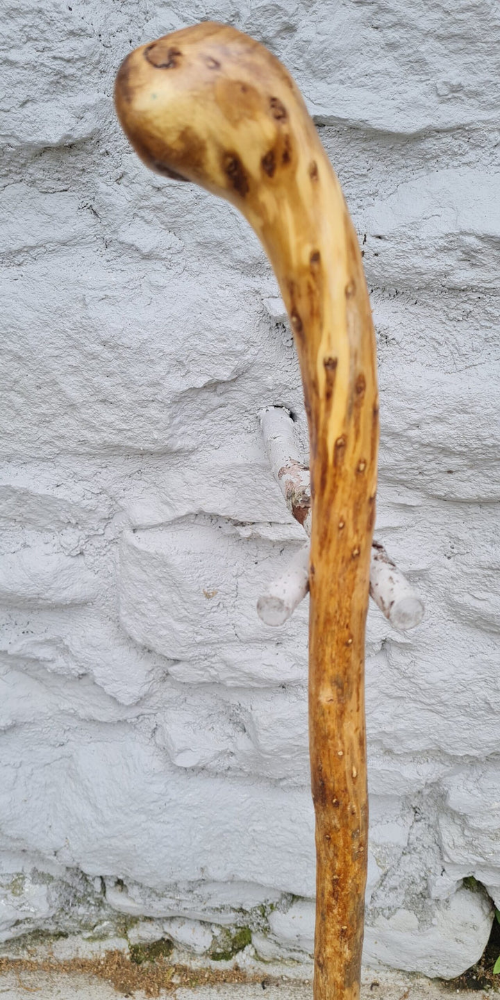 Gorse – DerryhickSticks